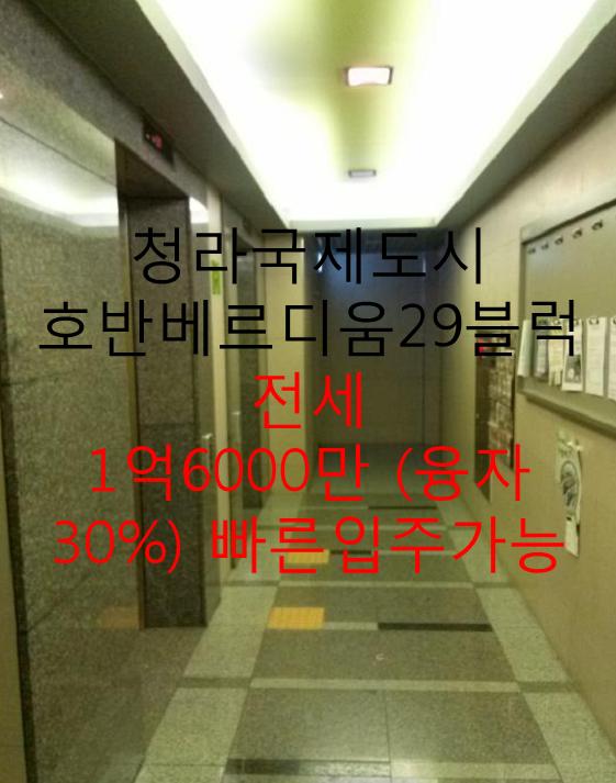 청라 호반29블럭 34평 전세 빠른입주가능 호반베르디움29블럭 융자낮고 확트였어요 네이버 블로그