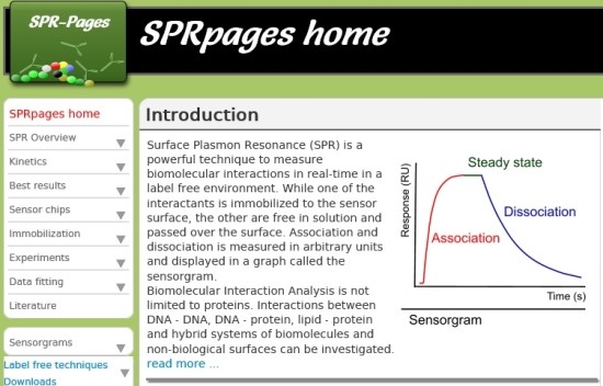 SPR pages 소개!! : 네이버 블로그