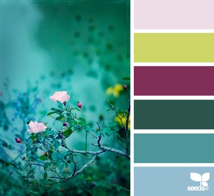Design Seeds - dusk bloom : 네이버 블로그