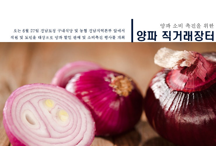 양파의 효능양파 보관법양파껍질차 경상남도 양파 소비촉진을 위한 직거래장터 운영 네이버 블로그