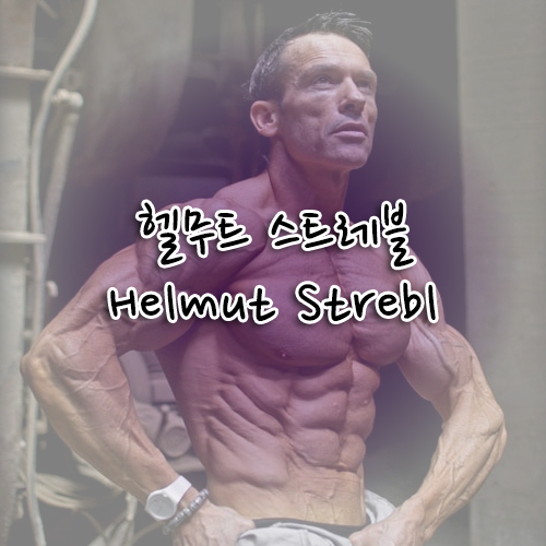헬무트 스트레블(Helmut Strebl) : 네이버 블로그