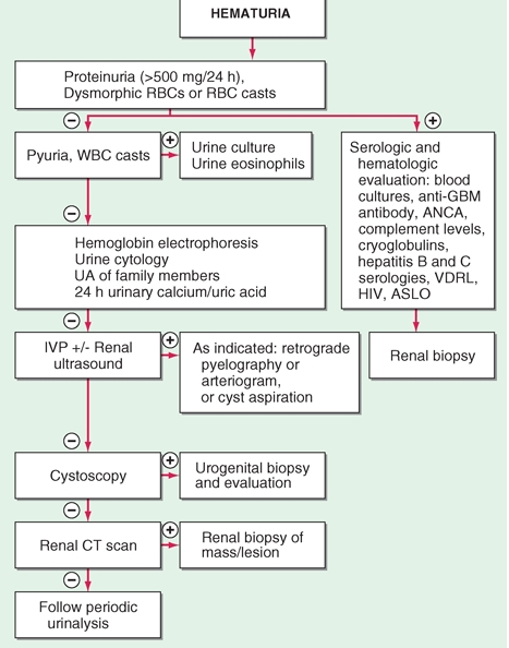 [전공의] 혈뇨, 농뇨, 원주체, Hematuria, Pyuria, and Casts : 네이버 블로그