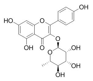 [제비꿀/양마(케나프)/어성초/진달래/금앵자 표준물질][Flavonoids] Afzelin (아프젤린); Kaempferol 3 ...