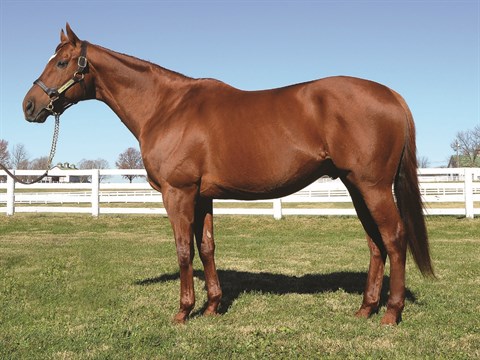 Point Given : 네이버 블로그