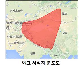 야크(Yak) : 네이버 블로그