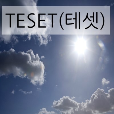 TESET? 테셋! : 네이버 블로그