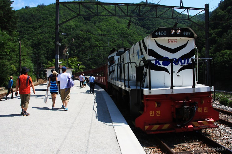 [기차여행] 백두대간협곡열차(V트레인) 타고 떠나는 기차여행 : 네이버 블로그
