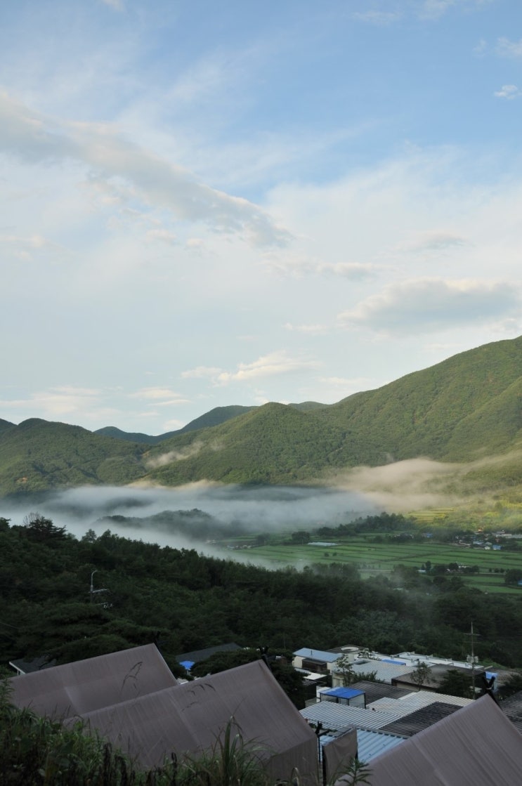 산청 청호제 지리산노을펜션(글램핑,수영장)에서 안개와 밤을 세웁니다. : 네이버 블로그