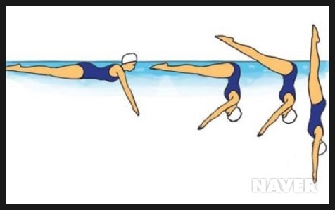 서피스 다이브(Head First Surface Dive) - 라이프가드(인명구조) : 네이버 블로그