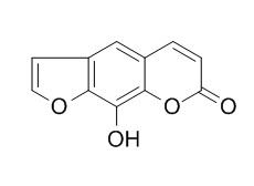 [구릿대/사상자/독활/벌사상자/명당삼 표준물질][Coumarins] Xanthotoxol (크산토톡솔; 잔토톡솔); 8 ...