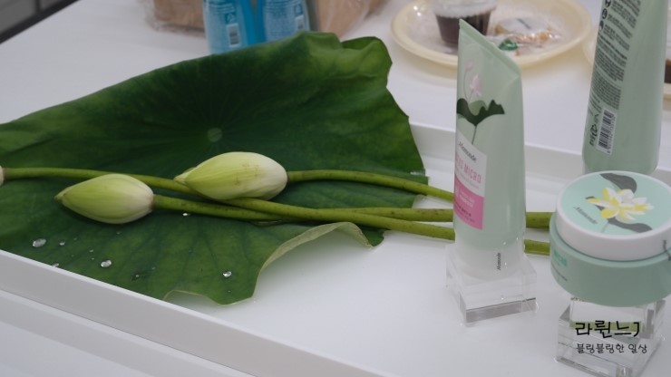 마몽드 연꽃 플라워 뷰티클래스오산 아모레퍼시픽 스토리가든 첫번째이야기 네이버 블로그