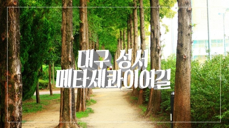 대구 가볼만한곳 대구 볼거리 대구 산책하기좋은곳 성서 근처 볼거리 대구 사진찍기좋은 곳 대구 성서