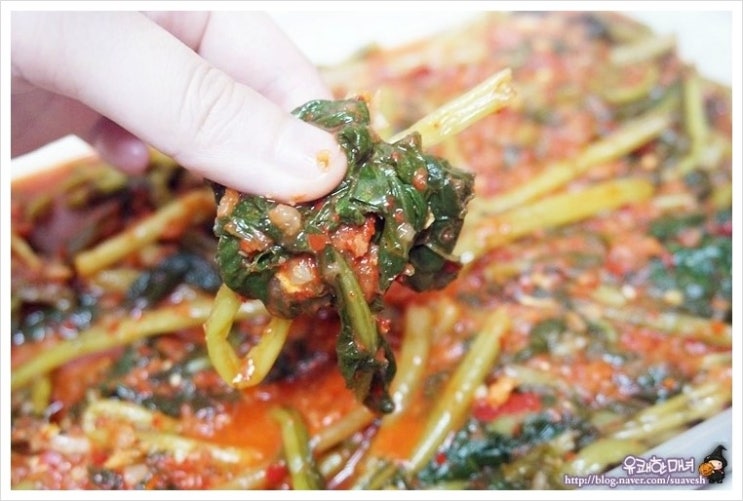 맛있는 김치 파는 곳 한식대첩 우승 전남팀 이미자 명인의 전라도 김치 짠지식품 네이버 블로그