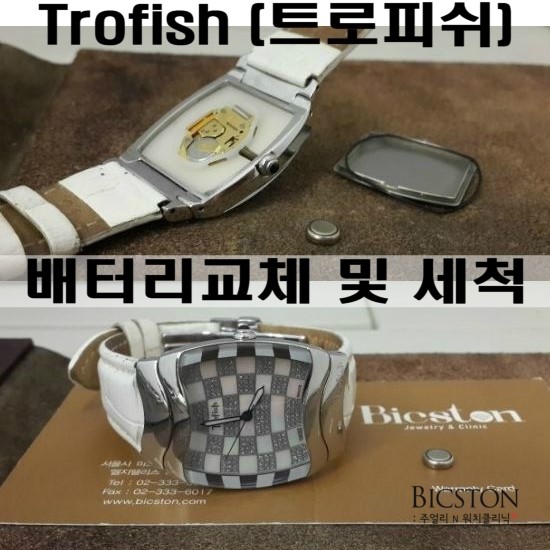 로만손 트로피쉬 시계수리 (Trofish Watch) - 배터리교체 / 세척. : 네이버 블로그