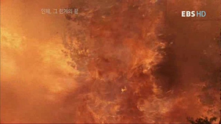 (지식)인간의 생존본능에 대해 알아보자.araboza : 네이버 블로그