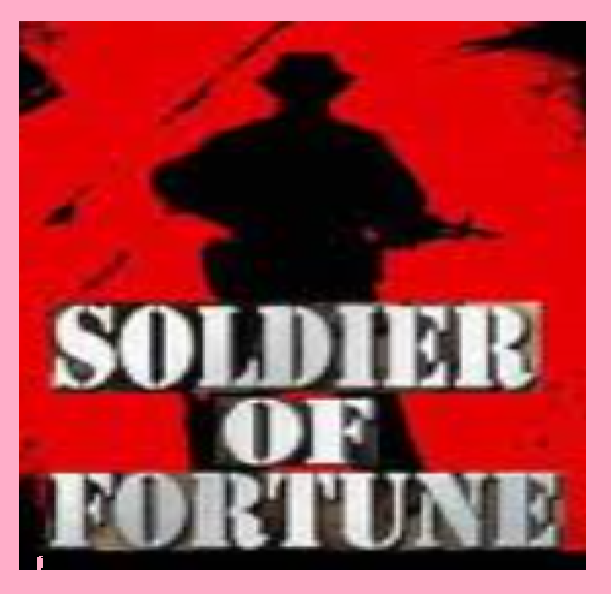 직업군인 [Soldier Of Fortune] : 네이버 블로그
