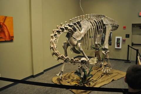 니게르사우루스(Nigersaurus) : 네이버 블로그