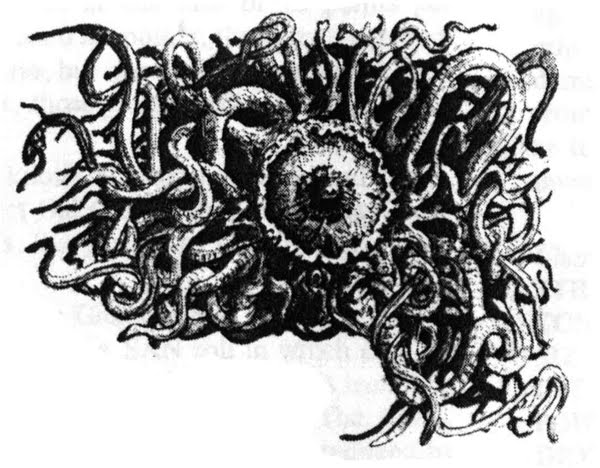 『크툴루신화』 크아이가 [Cyäegha] 를 간편하게 알아보자. : 네이버 블로그