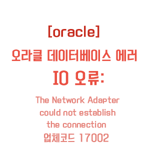 [오라클 데이터베이스 에러] IO 오류: The Network Adapter could not establish the ...