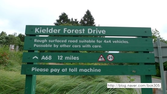 키엘더 포리스트(Kielder Forest) : 네이버 블로그