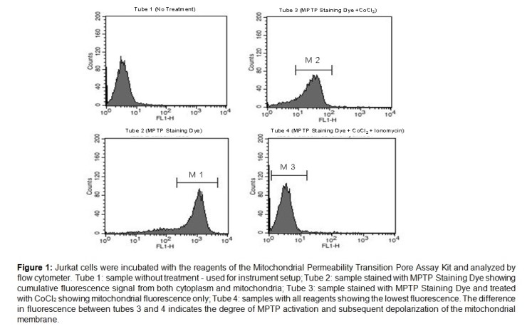 Mitochondrial Permeability Transition Pore Assay Kit [K239-100 ...