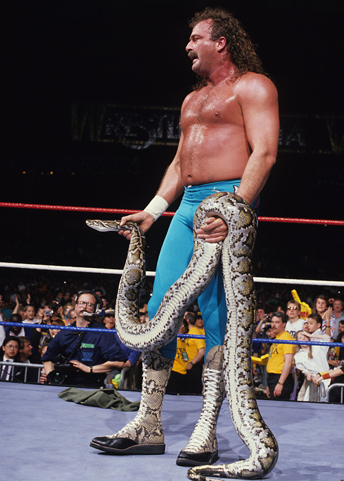 Jake "The Snake" Roberts(제이크 더 스네이크 로버츠) Theme-Story : 네이버 블로그