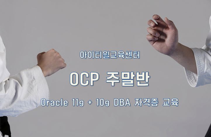 OCP주말반 : 오라클 OCP자격증 취득을 위해 주말반으로 교육듣고 국비지원 받기 : 네이버 블로그