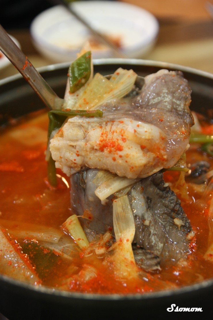 대화역 맛집, 대화동 맛집-속초 물 곰치... : 네이버 블로그