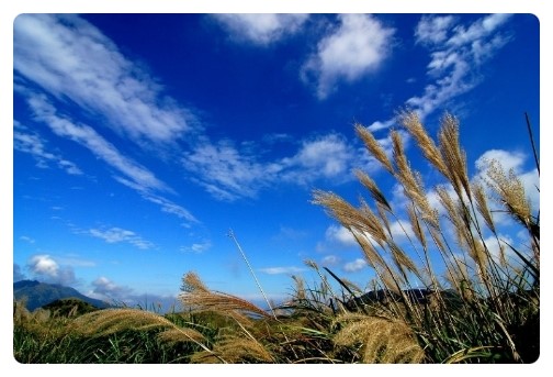 산다는 것은 속으로 이렇게 조용히 울고 있는 것 : 네이버 블로그
