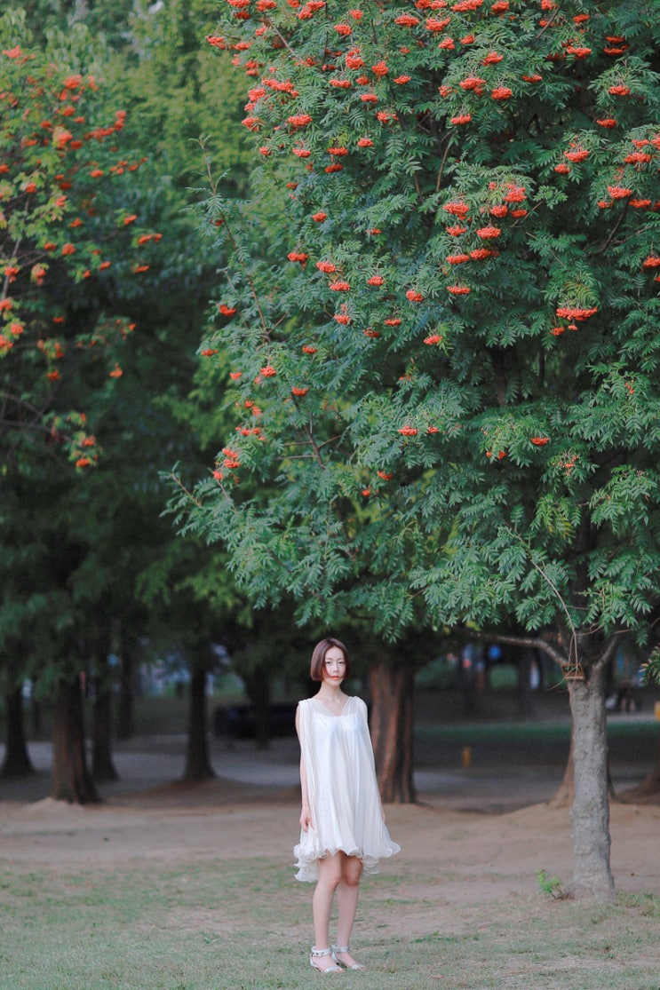 Autumn .. [CANON 6D & 85mm f1.2L] : 네이버 블로그