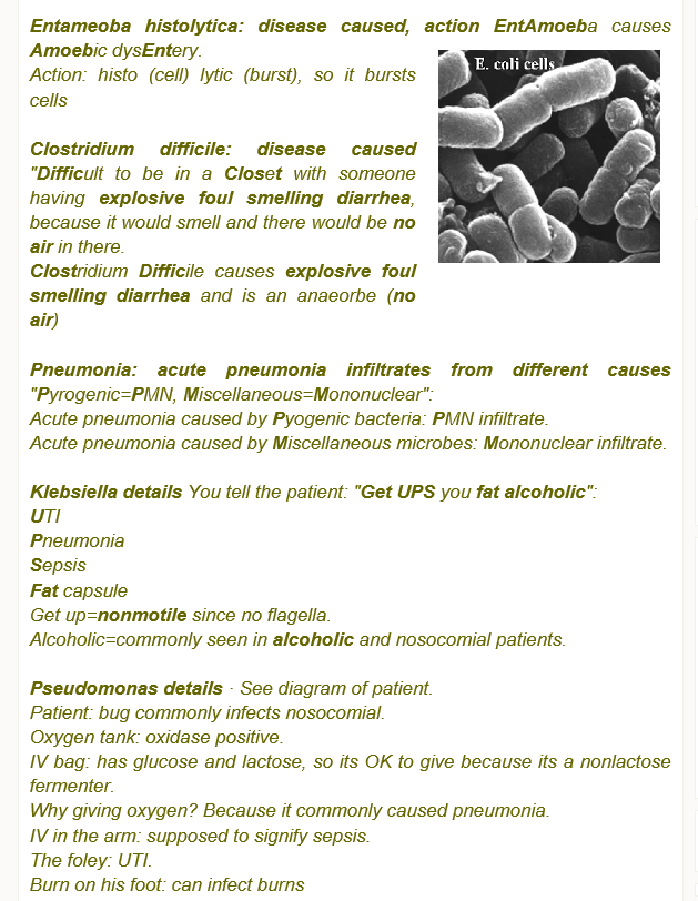 Mnemonics for microbiology : 네이버 블로그