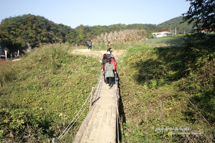 강원도 영월여행 영월 한반도 지형 선암마을 뗏목타고 한반도 돌아보기 네이버 블로그