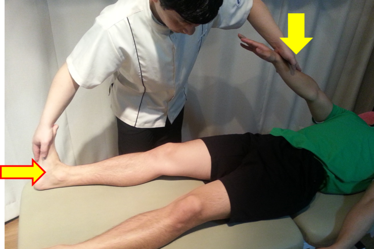 HYPERTON-X 실전테크닉 -4- 비복근 GCM Gastrocnemius 장딴지 근육 : 네이버 블로그