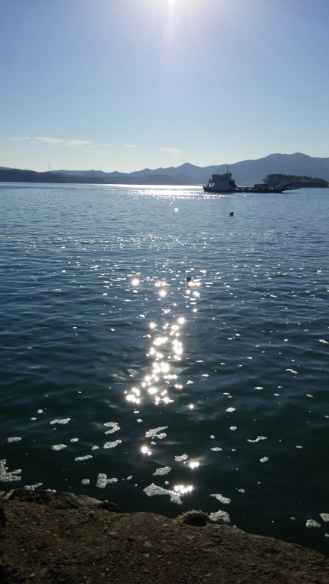 완도 신지도 명사십리 근처에서 낚시하기 : 네이버 블로그