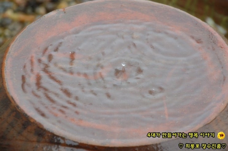 [회룡포장수진품] 비오는 장독마당 : 네이버 블로그