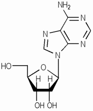 화장품 성분사전 #24. 아데노신 Adenosine : 네이버 블로그