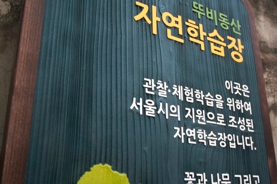 나무간판 텃밭팻말나무팻말수목표찰반패카페간판학교팻말목재안내판펜션간판목재간판텃밭표찰텃밭가꾸기 예쁜나무간판