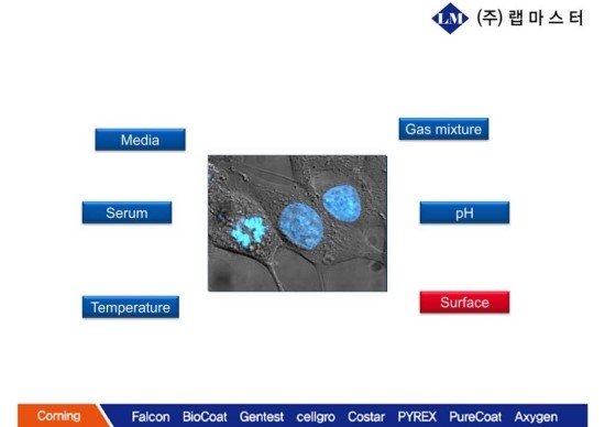 Extracellular matrix Matrigel : 네이버 블로그