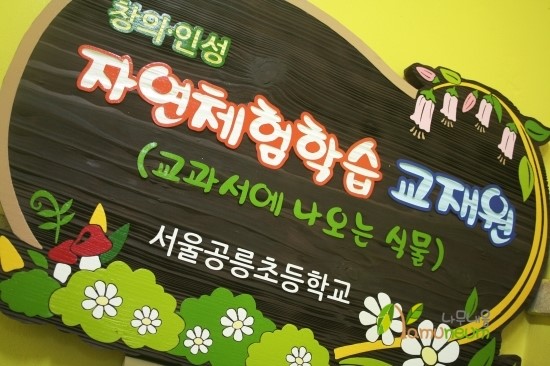 나무간판 텃밭팻말나무팻말솔방구리수목표찰반패카페간판학교팻말목재안내판펜션간판목재간판나무표지판나무표찰나무반패
