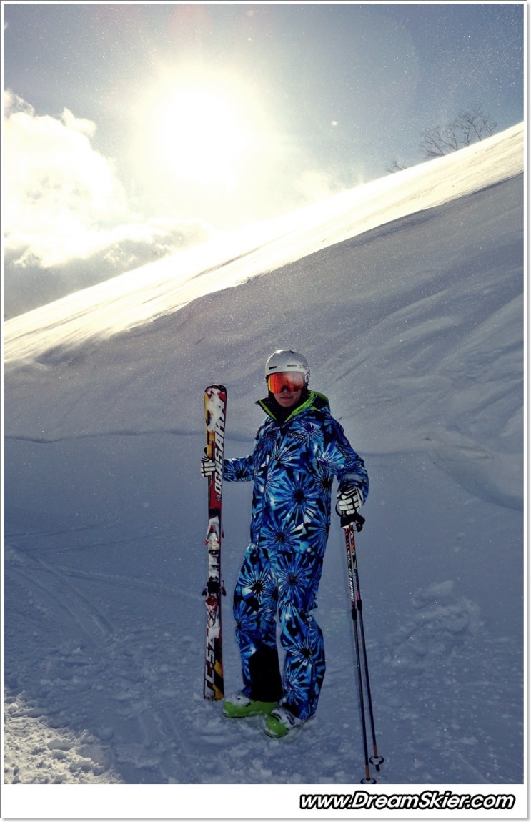 2014 시츄에이션 스키테크닉...1 : 플루그화렌편 : 네이버 블로그