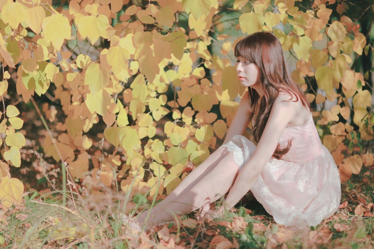 Autumn .. [CANON 6D & 85mm f1.2L] : 네이버 블로그