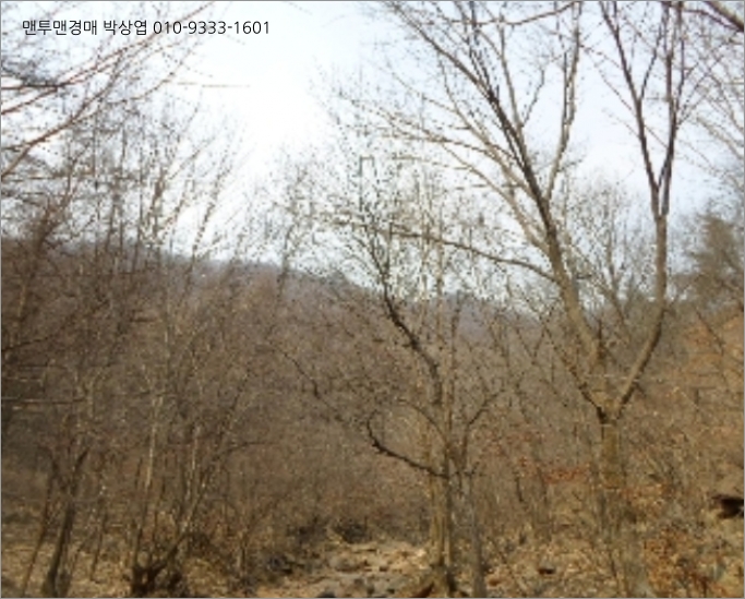♡연천군토지임야경매경기연천군경매경기 연천군 연천읍 고문리 산78 경매 정보 2014타경4852 네이버 블로그