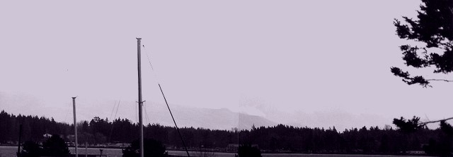 헌법 형사 소송 법 공인 회계사 다른 : 네이버 블로그