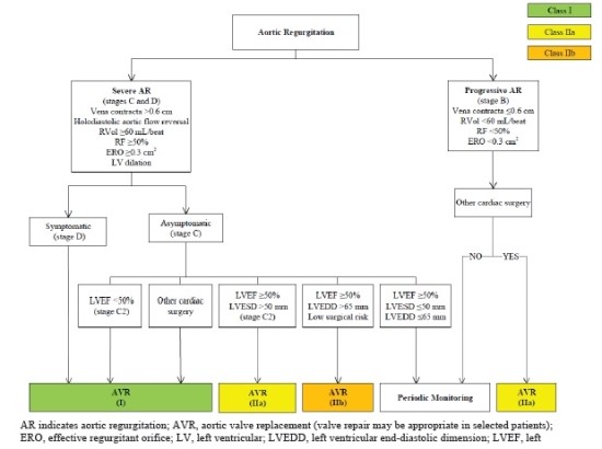 2014 AHA/ACC Guideline for the Management of Patients With Valvular ...