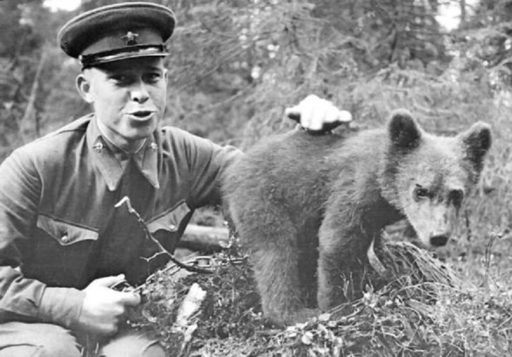 제 2차 세계대전 당시 소련 해군 북해 함대의 마스코트였던 불곰[WW2 Soviet Navy Northern Fleet ...