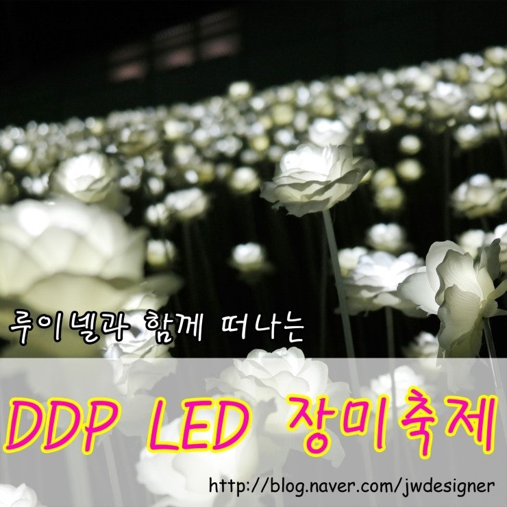 동대문 DDP LED 장미축제를 보고왔어용^^ : 네이버 블로그
