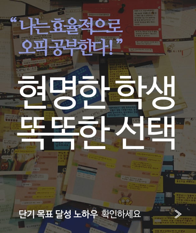 OPIc(오픽) NM에서 OPIc IM1까지, 오픽 과외 612의 효율적인 OPIc 오픽 공부 방법 : 네이버 블로그