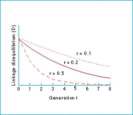 연관 평형(linkage equilibrium)과 연관 비평형(linkage disequilibrium) : 네이버 블로그