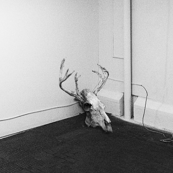 SCP-323 - 웬디고의 두개골 : 네이버 블로그