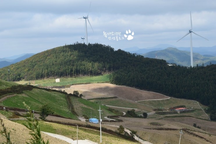 태백8경 태백 바람의 언덕에서매봉산풍력발전단지 네이버 블로그